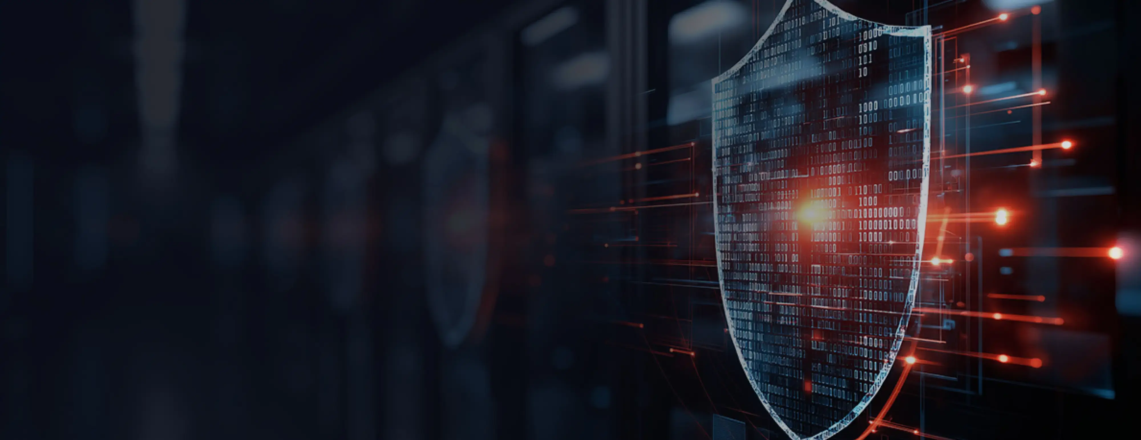 Ransomware Protection for the U.S. Government | Merlin Cyber